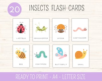 32 Insects Flash Cards, Montessori Flash Cards, Preschool Activity ...