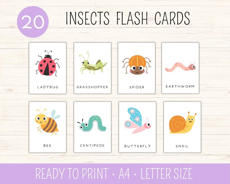 Insects Flash Cards, Montessori Flash Cards, Preschool Activity ...