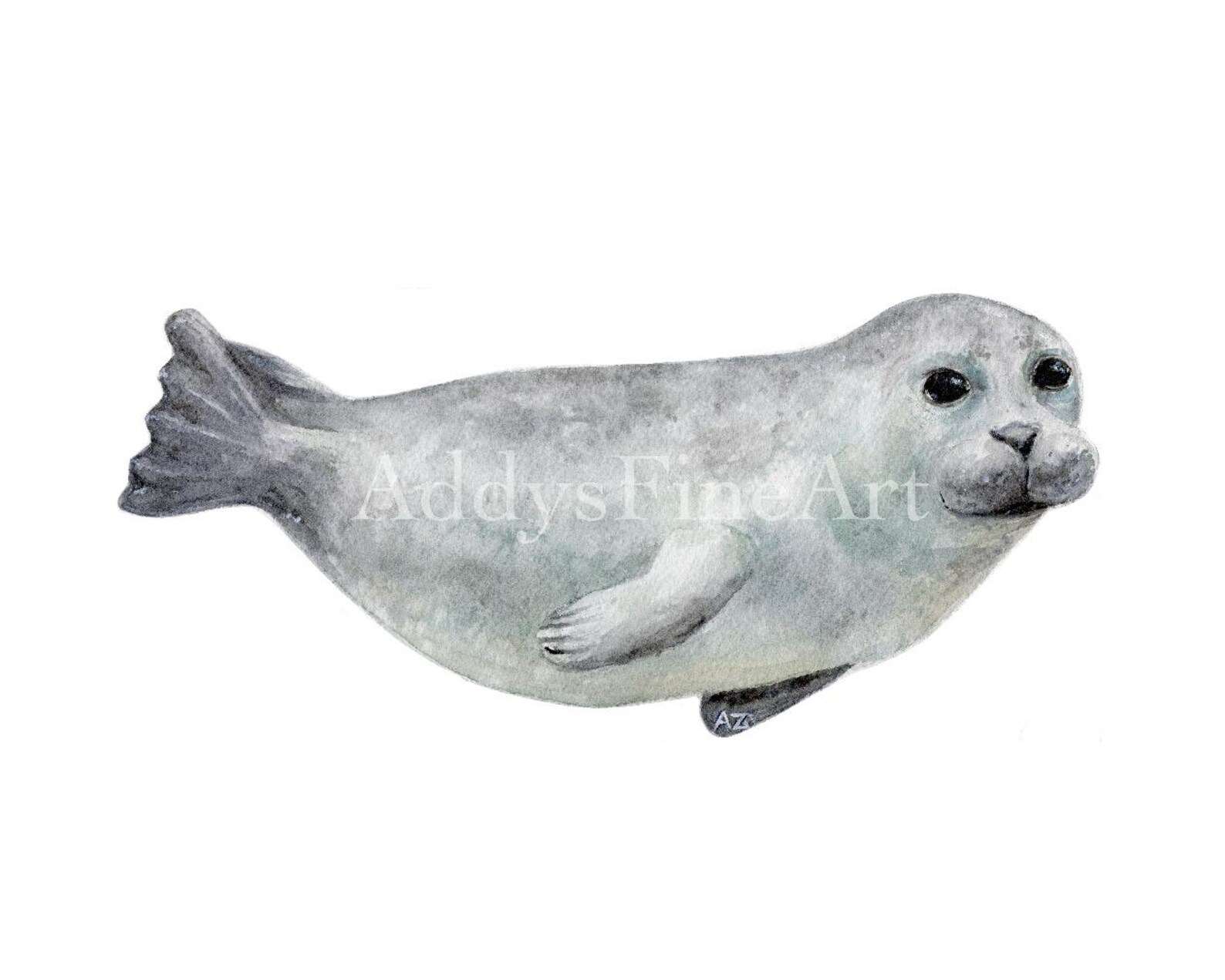 Seal Watercolor Painting - Etsy