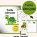 Turtle Life Cycle Printable Turtle Puzzle Learn Animal Turtles Print ...