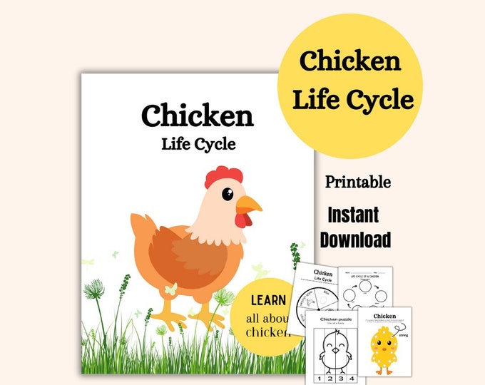 Foldable Chicken Life Cycle Learning Activity for Kids | A4 and 11x8.5 ...