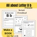 All About Letter B B Printable Book Worksheet Educational Home School ...