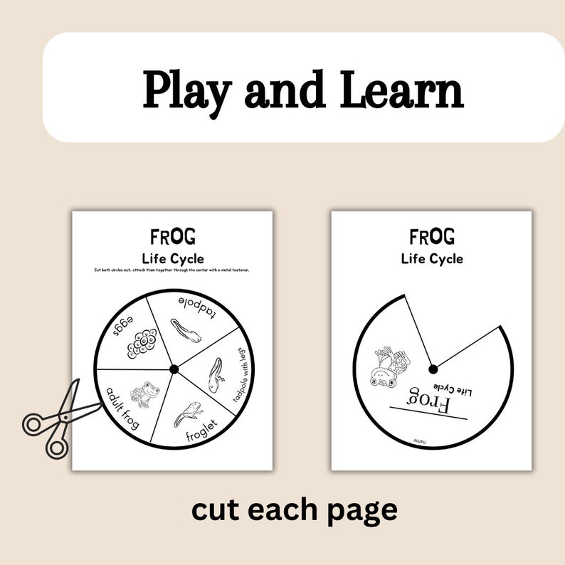 Frog Life Cycle Worksheet Printable Download Kids Worksheet Animals All ...
