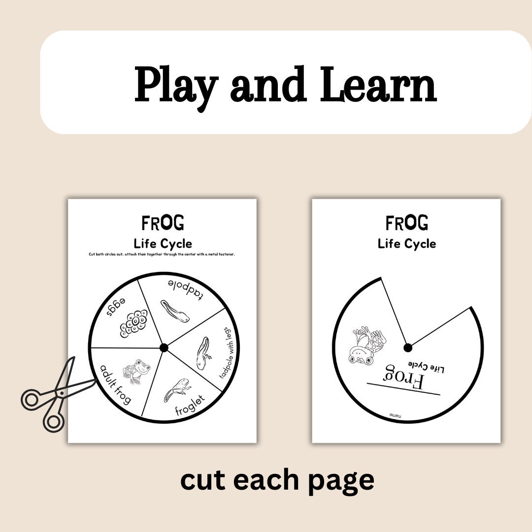 Frog Life Cycle Printable Worksheet Kids Learning Activities Learn All ...