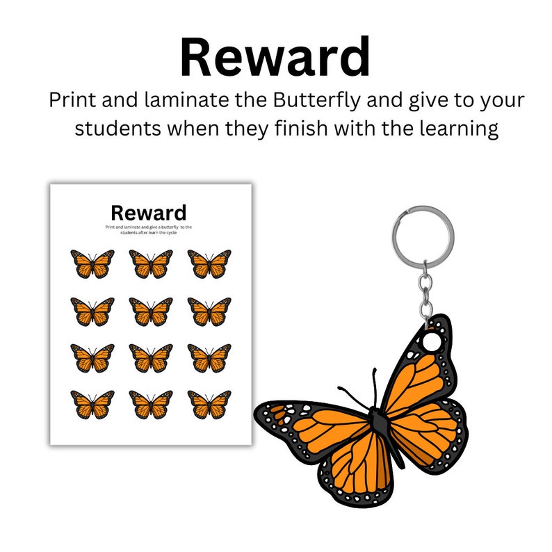 Life Cycle of Butterfly Printable Turtle Puzzle Learn Animal Turtles ...