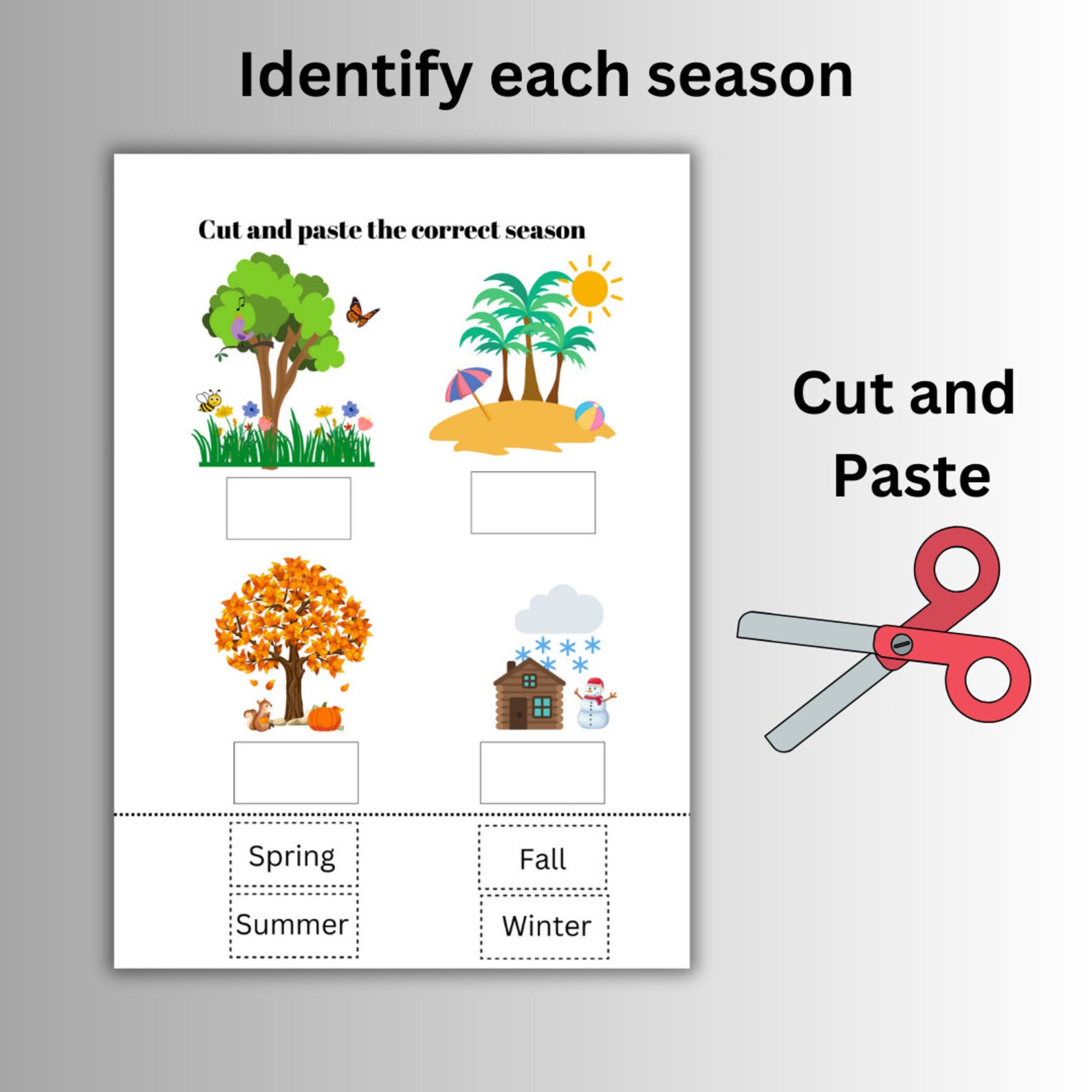 The 4 Seasons of the Year Printable Worksheet, Downloadable, Spring ...