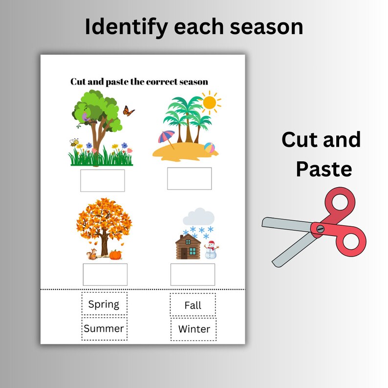 The 4 Seasons of the Year Printable Worksheet, Downloadable, Spring ...