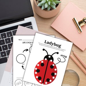 Ladybug Life Cycle Worksheet Printable Download Kids Worksheet Animals ...