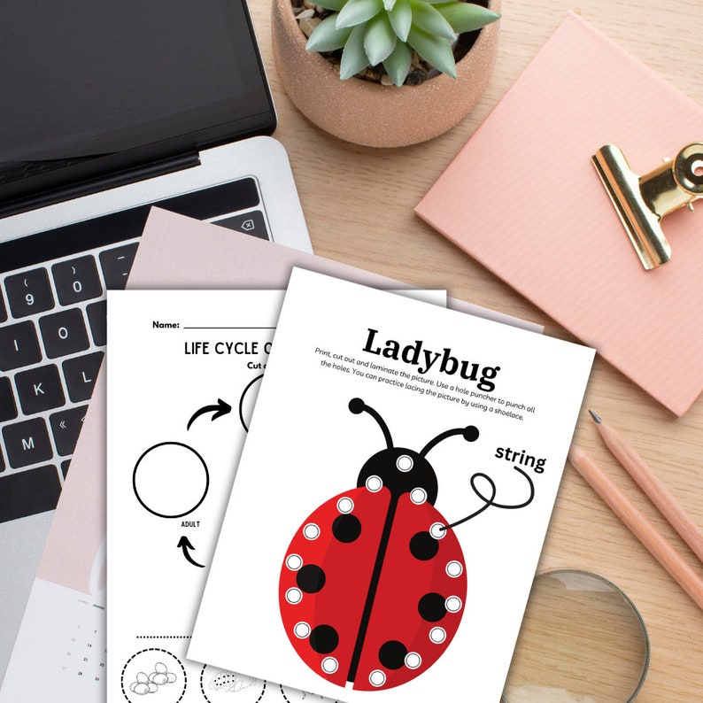 Ladybug Life Cycle Worksheet Printable Download Kids Worksheet Animals ...