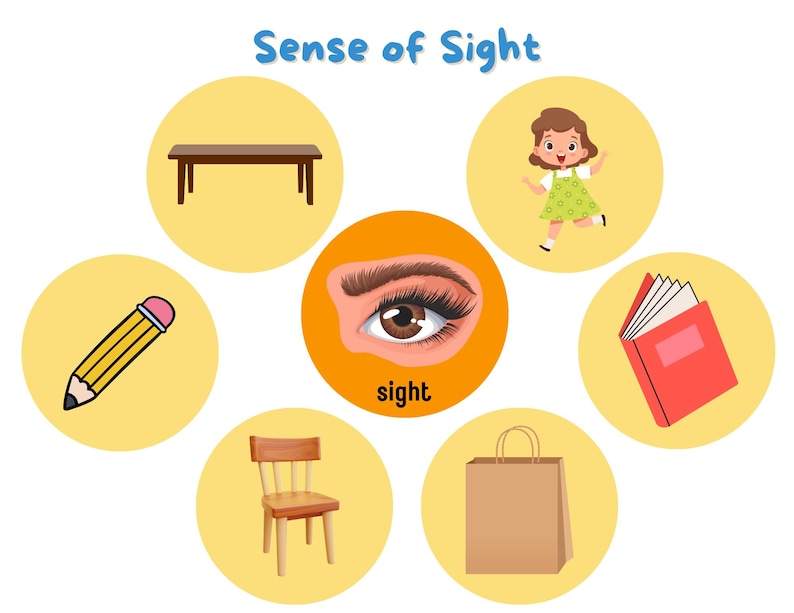 The 5 Senses Learning Activities: Autism & Special Education Printable ...