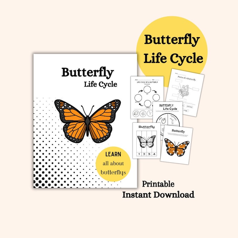 Life Cycle of Butterfly Printable Turtle Puzzle Learn Animal Turtles ...