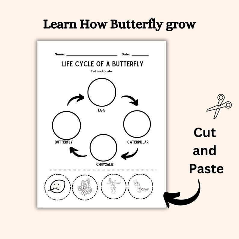 Life Cycle of Butterfly Printable Turtle Puzzle Learn Animal Turtles ...