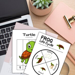 Turtle Life Cycle Printable Turtle Puzzle Learn Animal Turtles Print ...