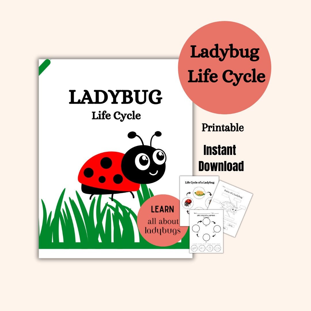 Ladybug Life Cycle Worksheet Printable Download Kids Worksheet Animals ...