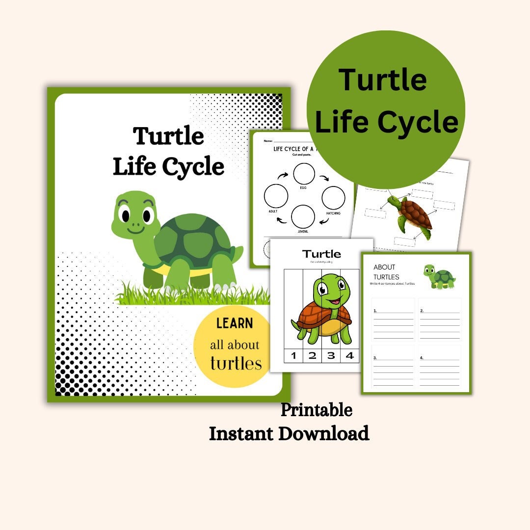 Turtle Life Cycle Printable Turtle Puzzle Learn Animal Turtles Print ...