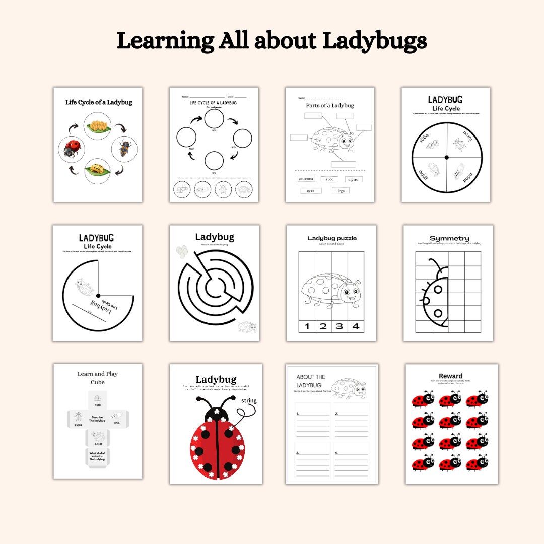 Ladybug Life Cycle Worksheet Printable Download Kids Worksheet Animals ...