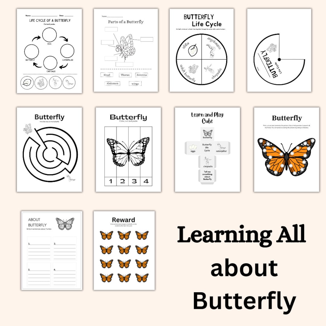 Life Cycle of Butterfly Printable Turtle Puzzle Learn Animal Turtles ...