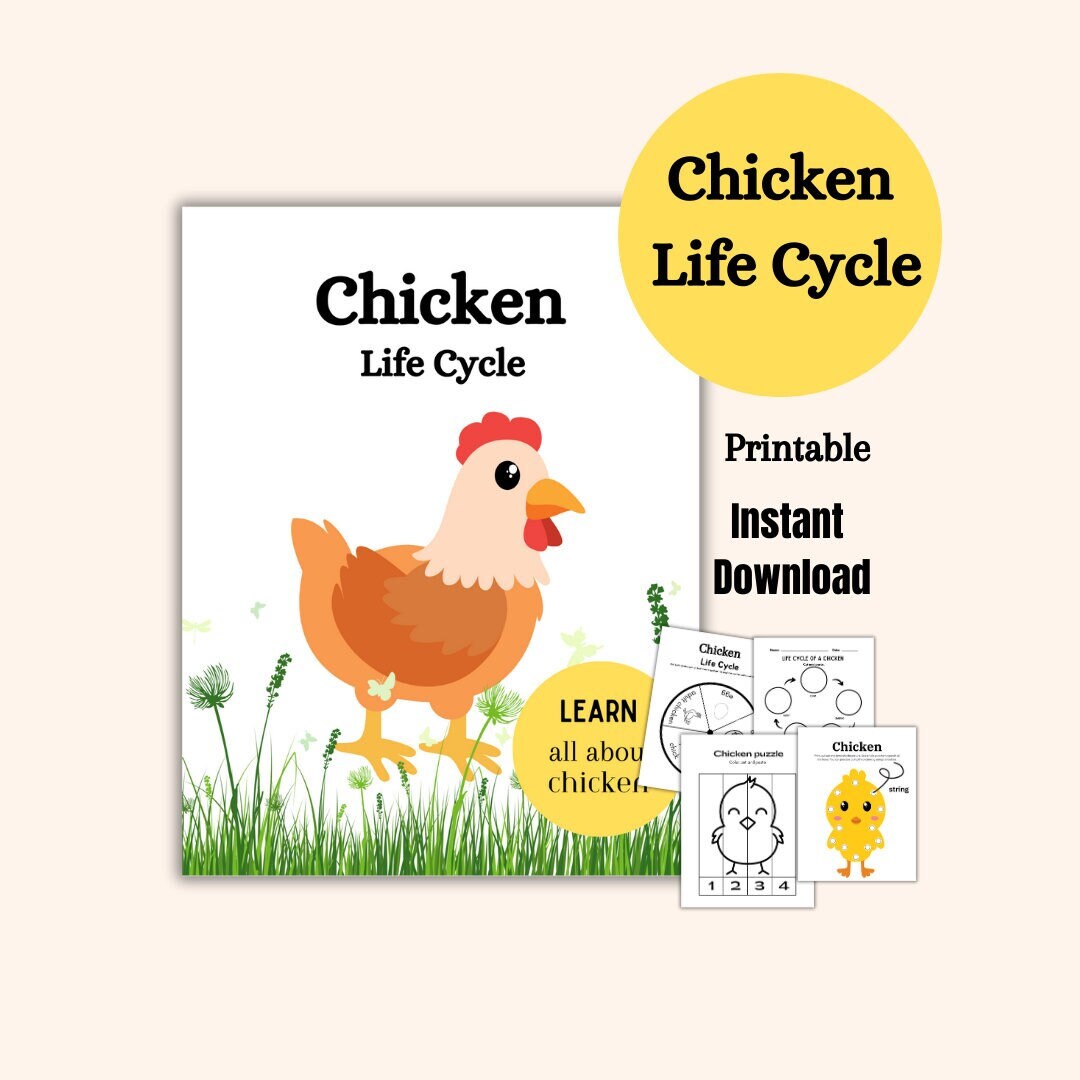 Chicken Life Cycle Worksheet Printable Download Kids Worksheet Animals ...