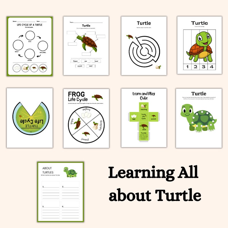 Turtle Life Cycle Printable Turtle Puzzle Learn Animal Turtles Print ...
