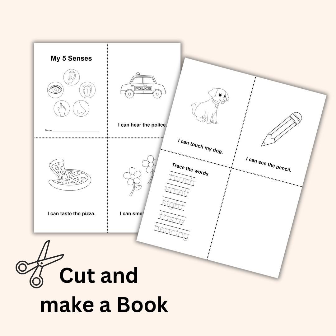 The 5 Senses Mini Book Printable Academic Book for Kinder Downloadable ...