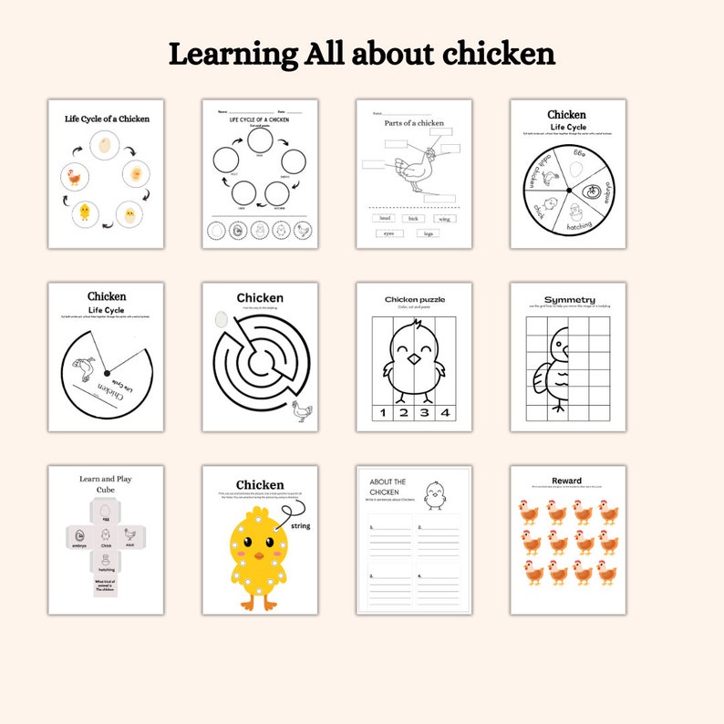 Hoja de trabajo del ciclo de vida del pollo: actividades de aprendizaje ...