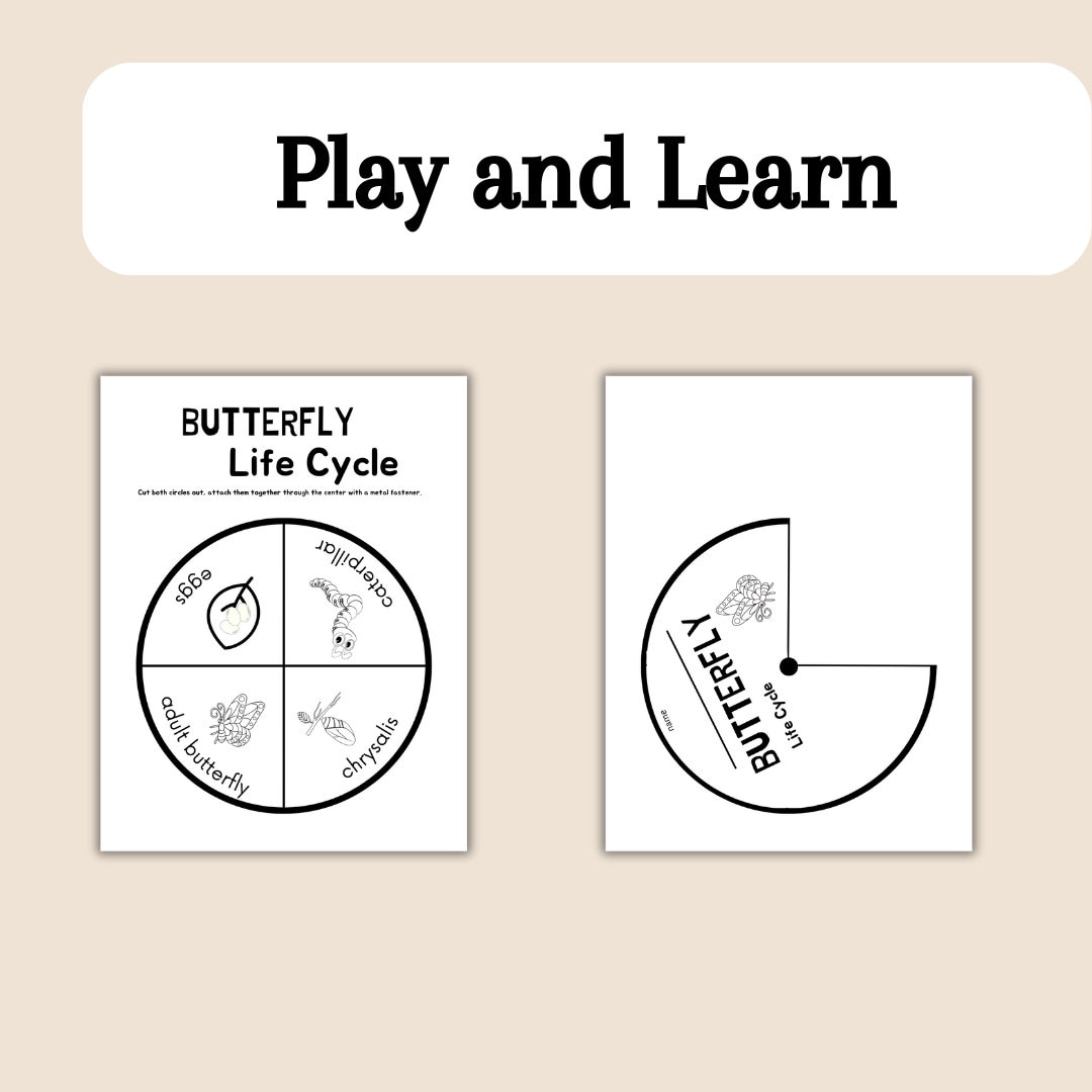 Life Cycle of Butterfly Printable Turtle Puzzle Learn Animal Turtles ...
