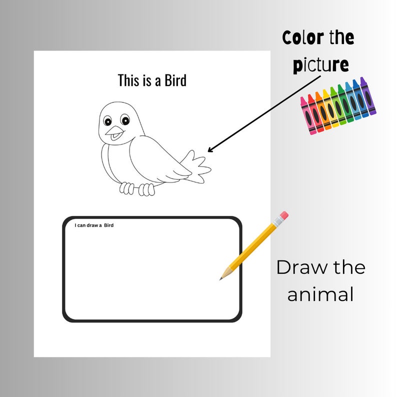 Zoo Animals Book Printable Coloring Book Animals Digital Zoo Book ...