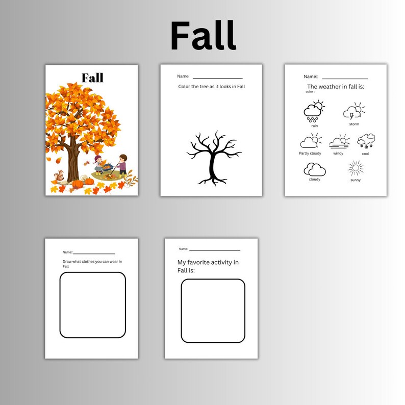 The 4 Seasons of the Year Printable Worksheet, Downloadable, Spring ...