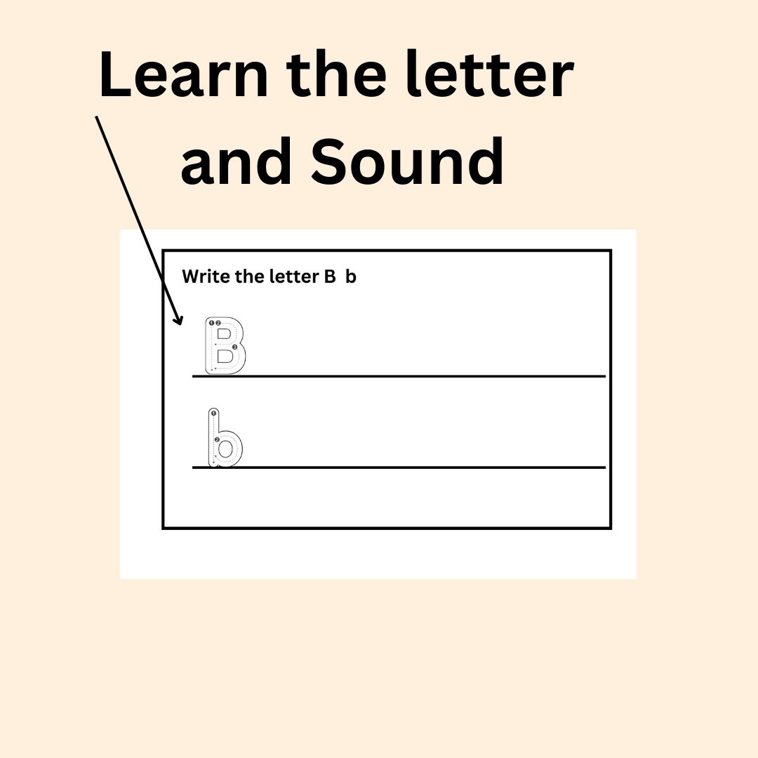 All About Letter B B Printable Book Worksheet Educational Home School ...
