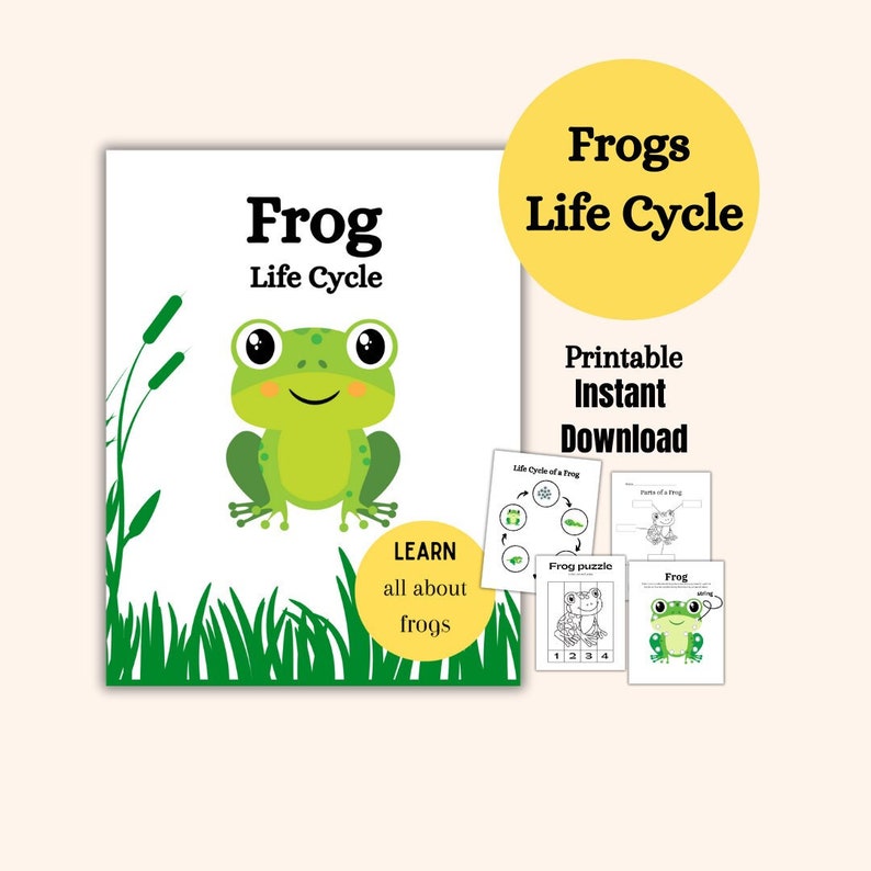 Frog Life Cycle Printable Worksheet Kids Learning Activities Learn All ...