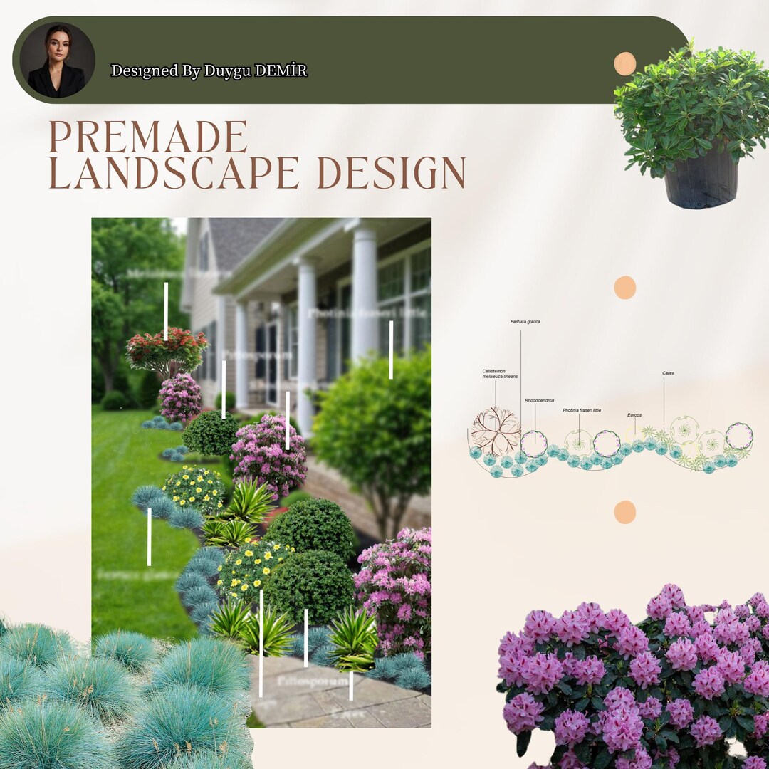 A Zone 8-9 Landscape Premade Design, Ready Made Full Sun, Texas ...