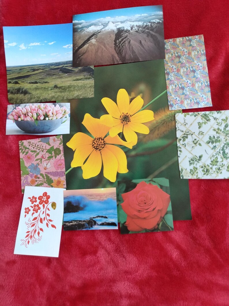 Magazine Nature Cut Outs (100 Pieces) for Scrapbooking Junk Journals ...