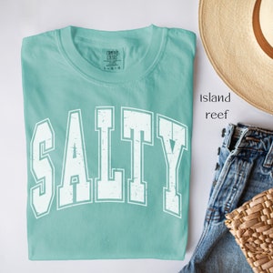 Salty Shirt Stay Salty Beach Shirt Comfort Colors Ocean Inspired Shirt ...