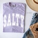 Salty Shirt Stay Salty Beach Shirt Comfort Colors Ocean Inspired Shirt ...