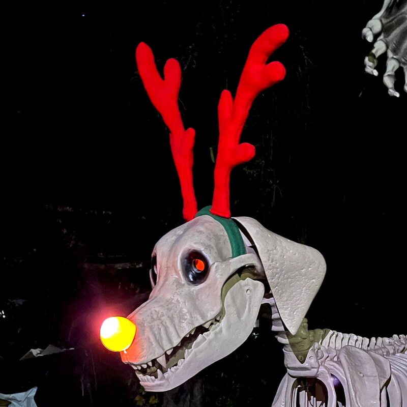 Adult Rudolph Costume - Etsy