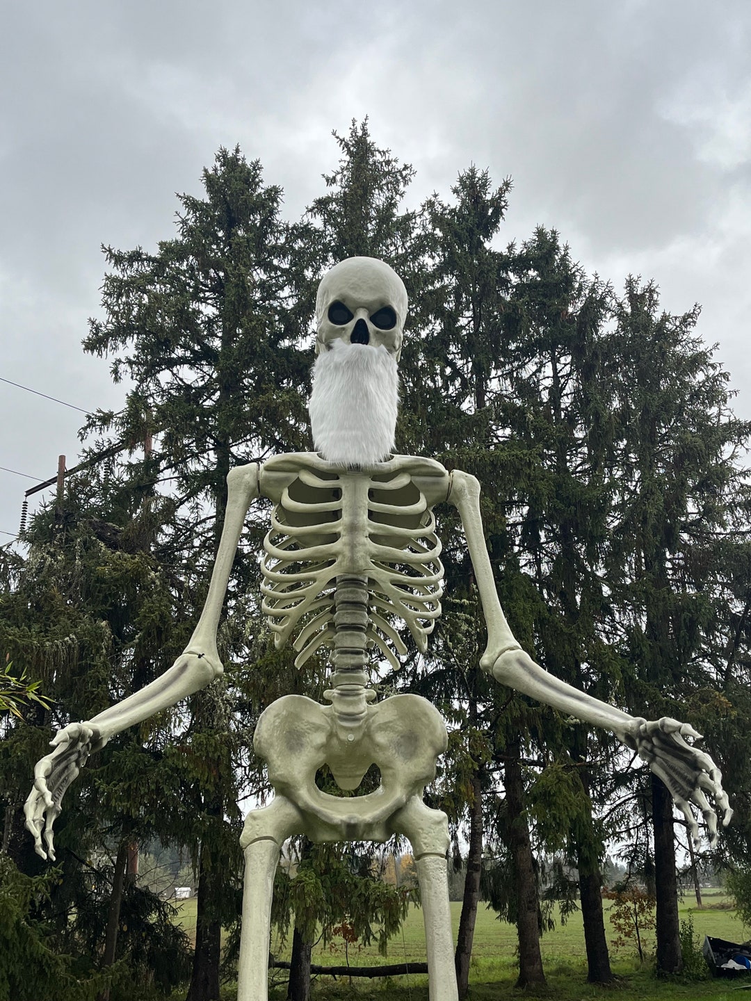 12’ Skeleton Santa Beard (white) (skeleton NOT Included) - Etsy