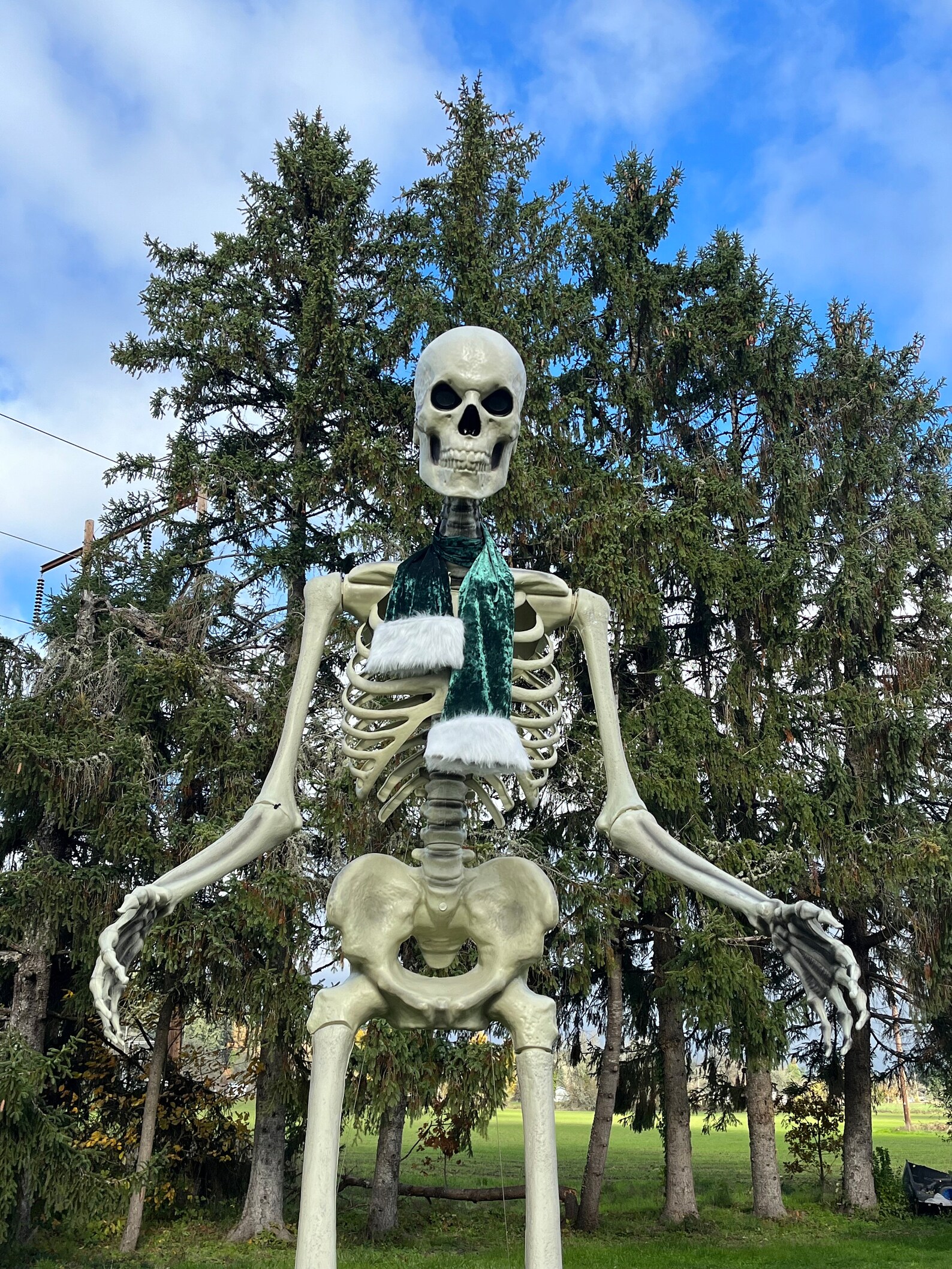 12 Skeleton Scarf green skeleton NOT Included - Etsy