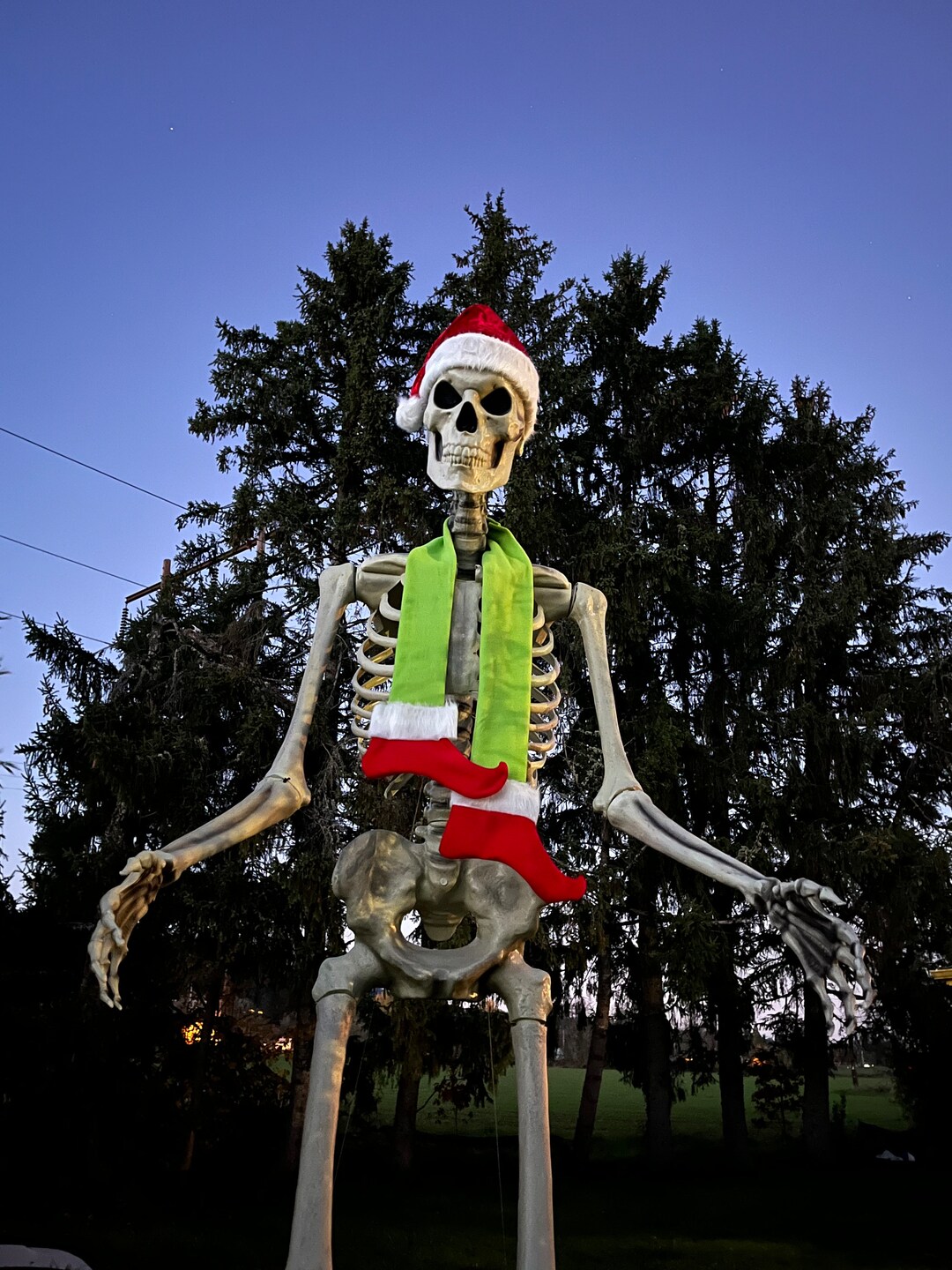 12’ Skeleton Grinch Scarf & Hat (skeleton NOT Included) - Etsy Canada