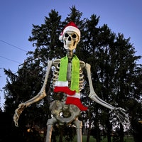 Grinch Costume - Etsy