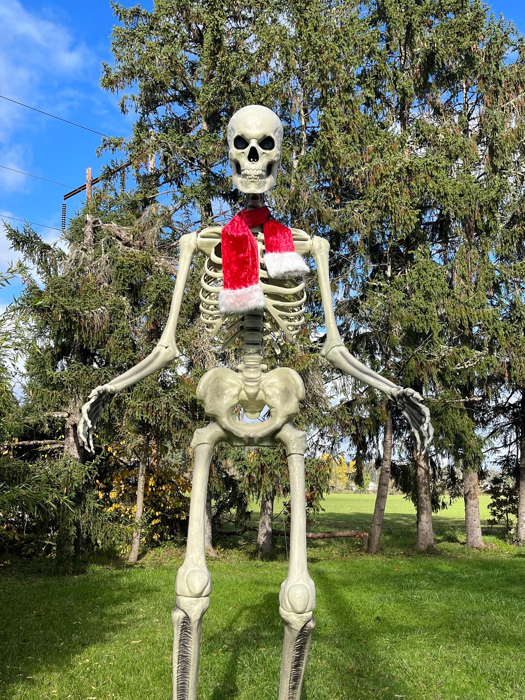 12 Skeleton Scarf red skeleton NOT Included - Etsy