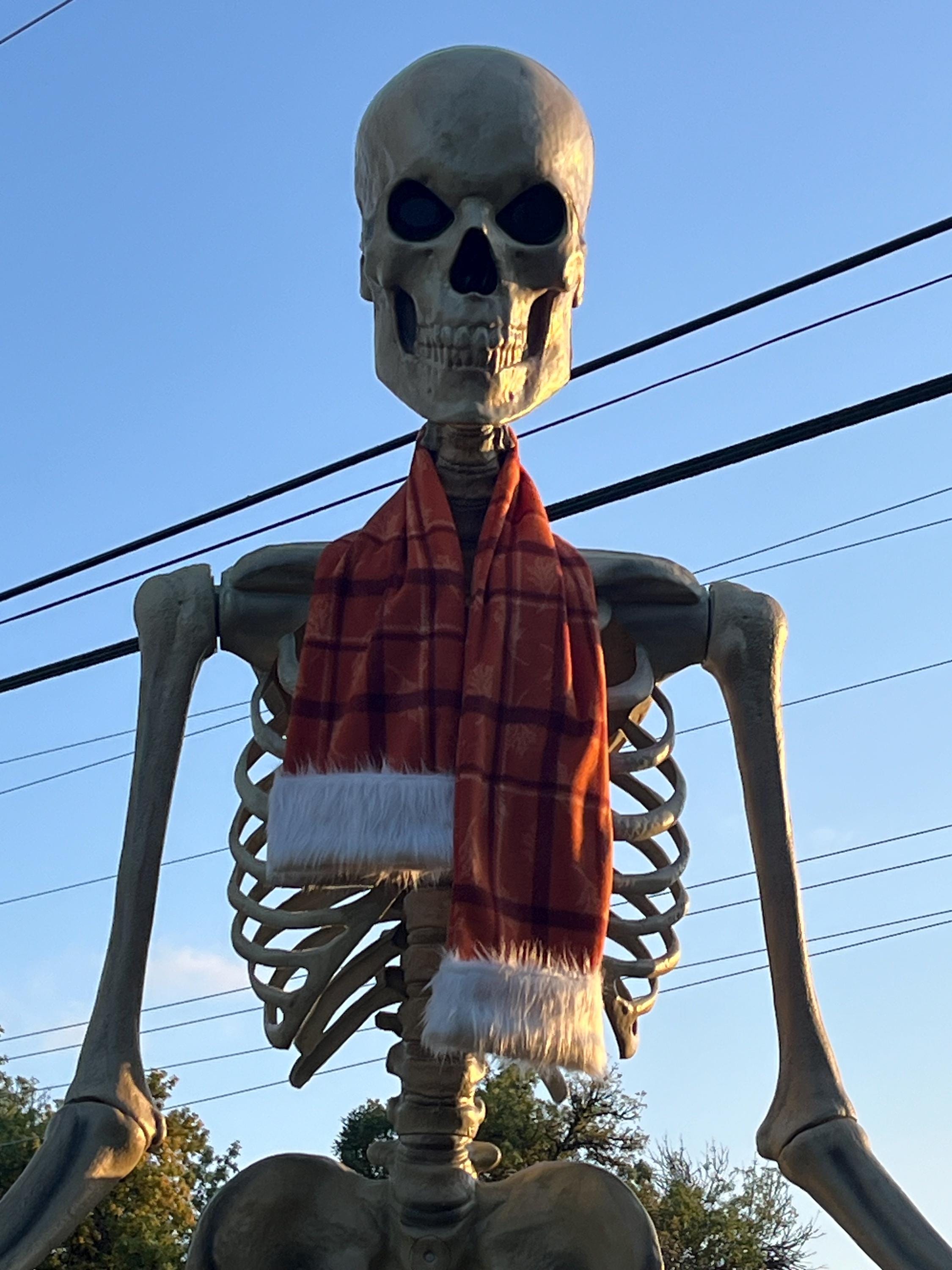12’ Skeleton Scarf (fall) (skeleton NOT Included) - Etsy