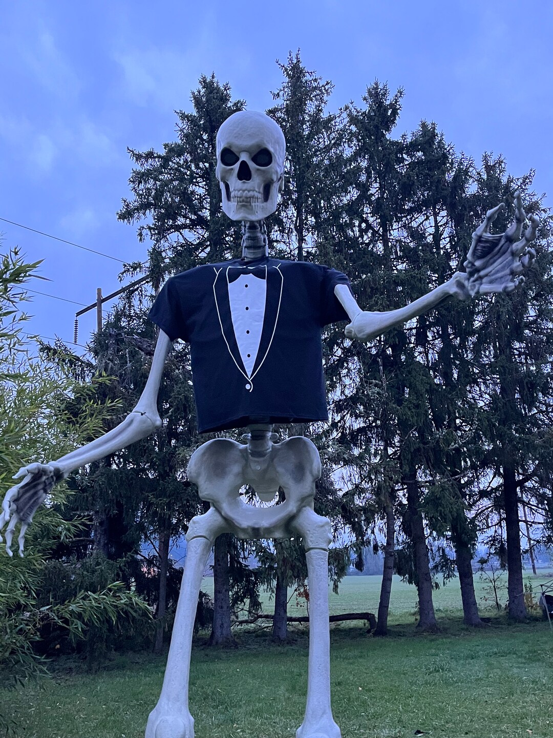 12’ Skeleton Tuxedo Shirt (skeleton NOT Included) - Etsy