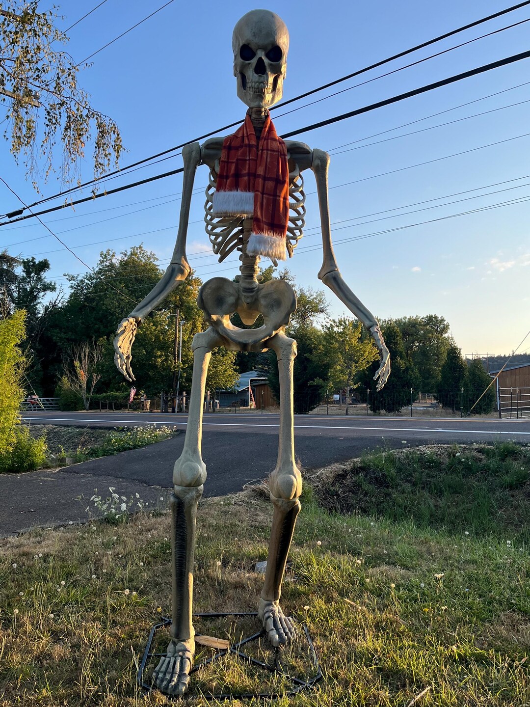 12’ Skeleton Scarf (fall) (skeleton NOT Included) - Etsy