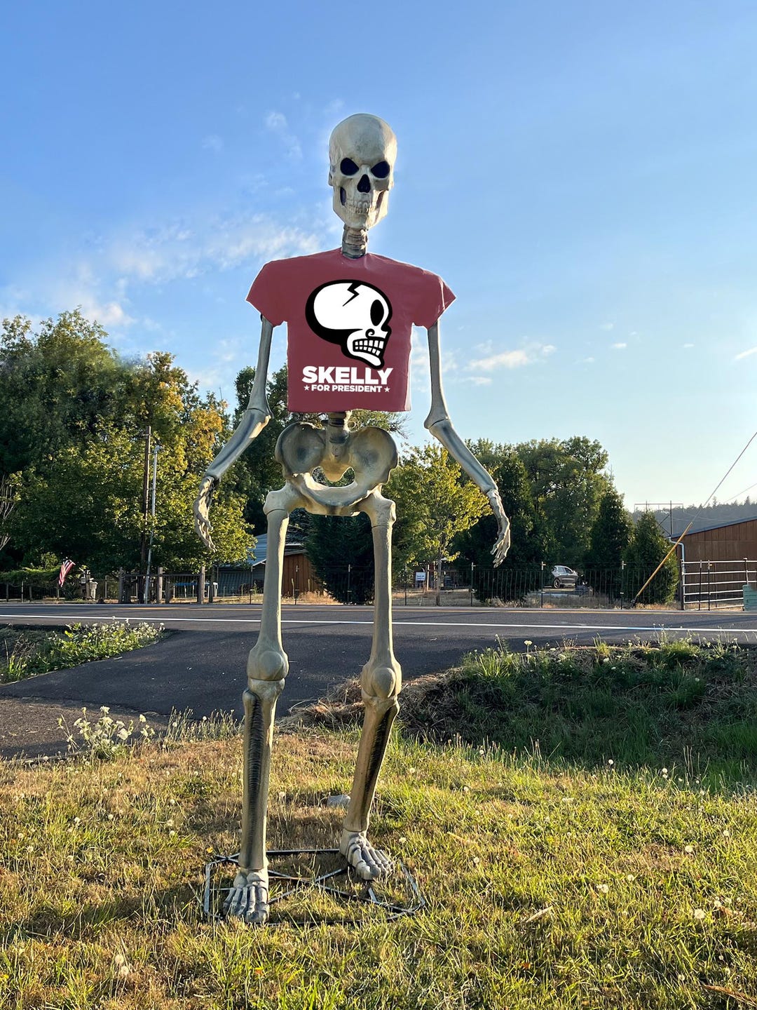 12ft Skeleton Skelly for Prez (skeleton NOT Included) - Etsy