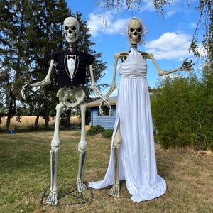 Ultra Poseable Skeleton - Etsy