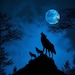 Wolf Meditation 5 Meditation Unleash Your Inner Wolf With 5 Wolf ...