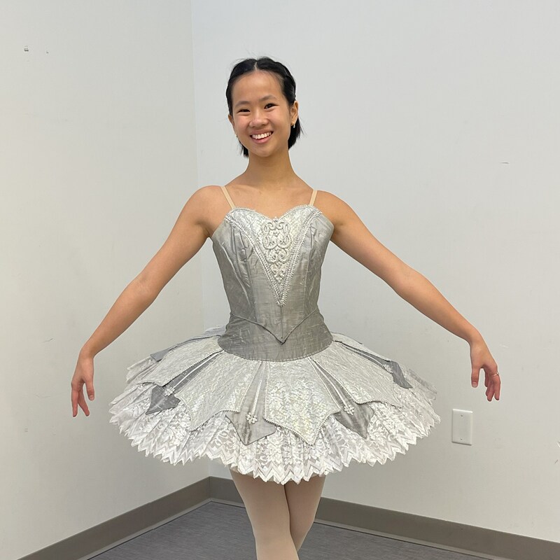 Silver Tutu Dress - Etsy