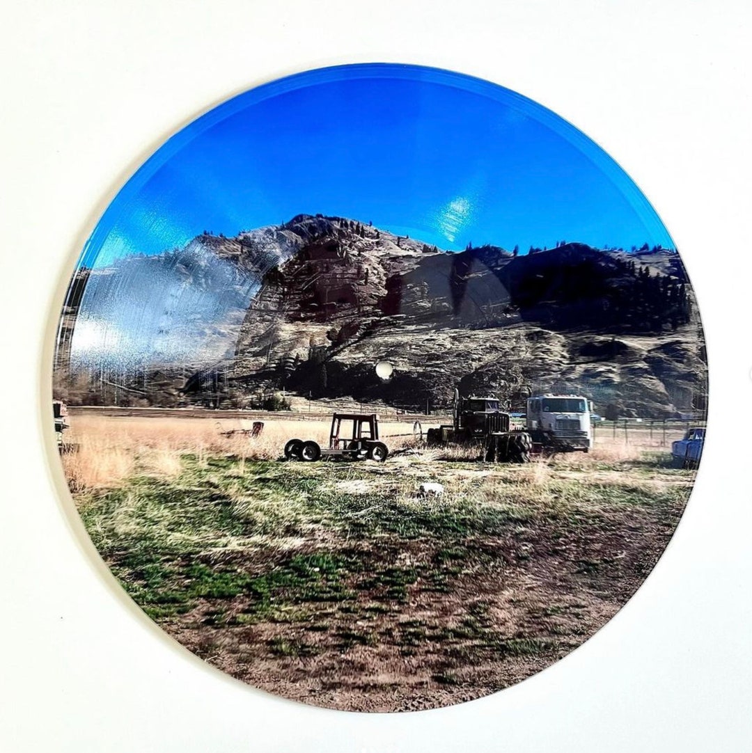 Custom 12 Picture Disc Vinyl Record - Etsy