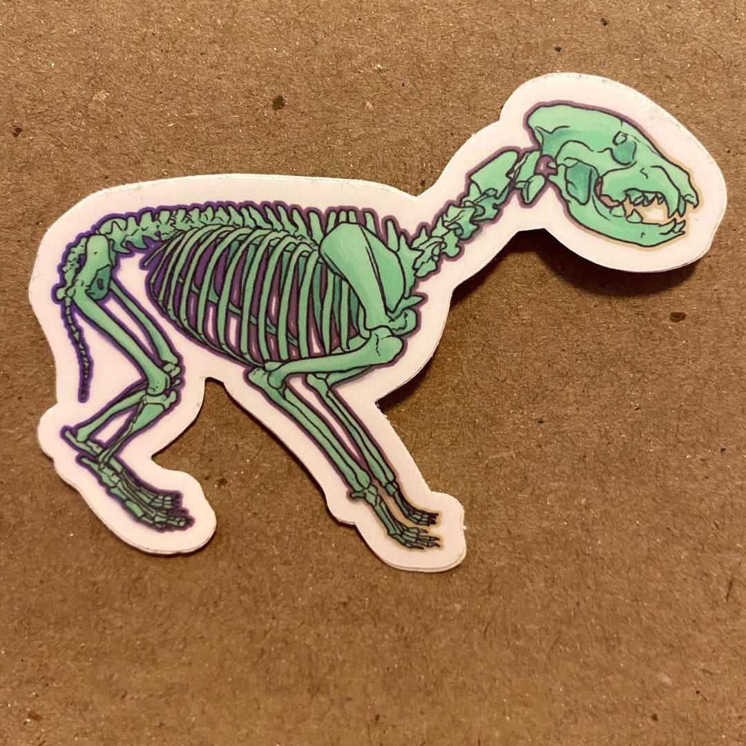 Hyena Skeleton Vinyl Sticker - Etsy