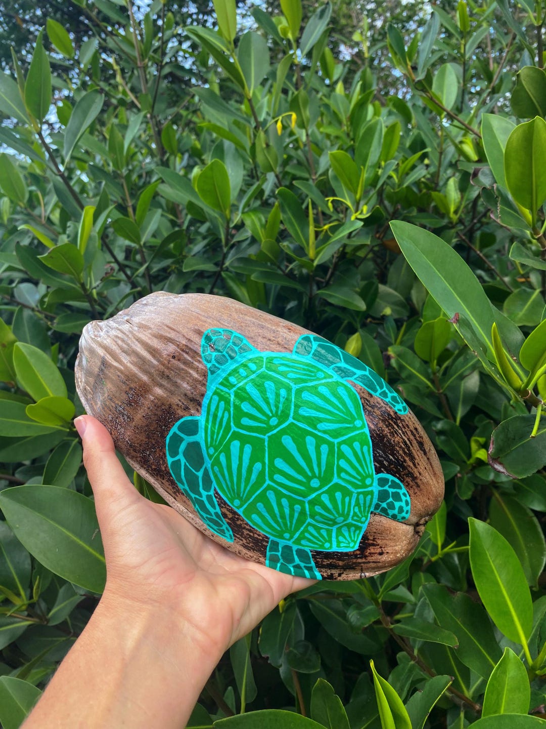 Hand Painted Coconut Art- Turtle Painting - Tropical Beach Decor ...